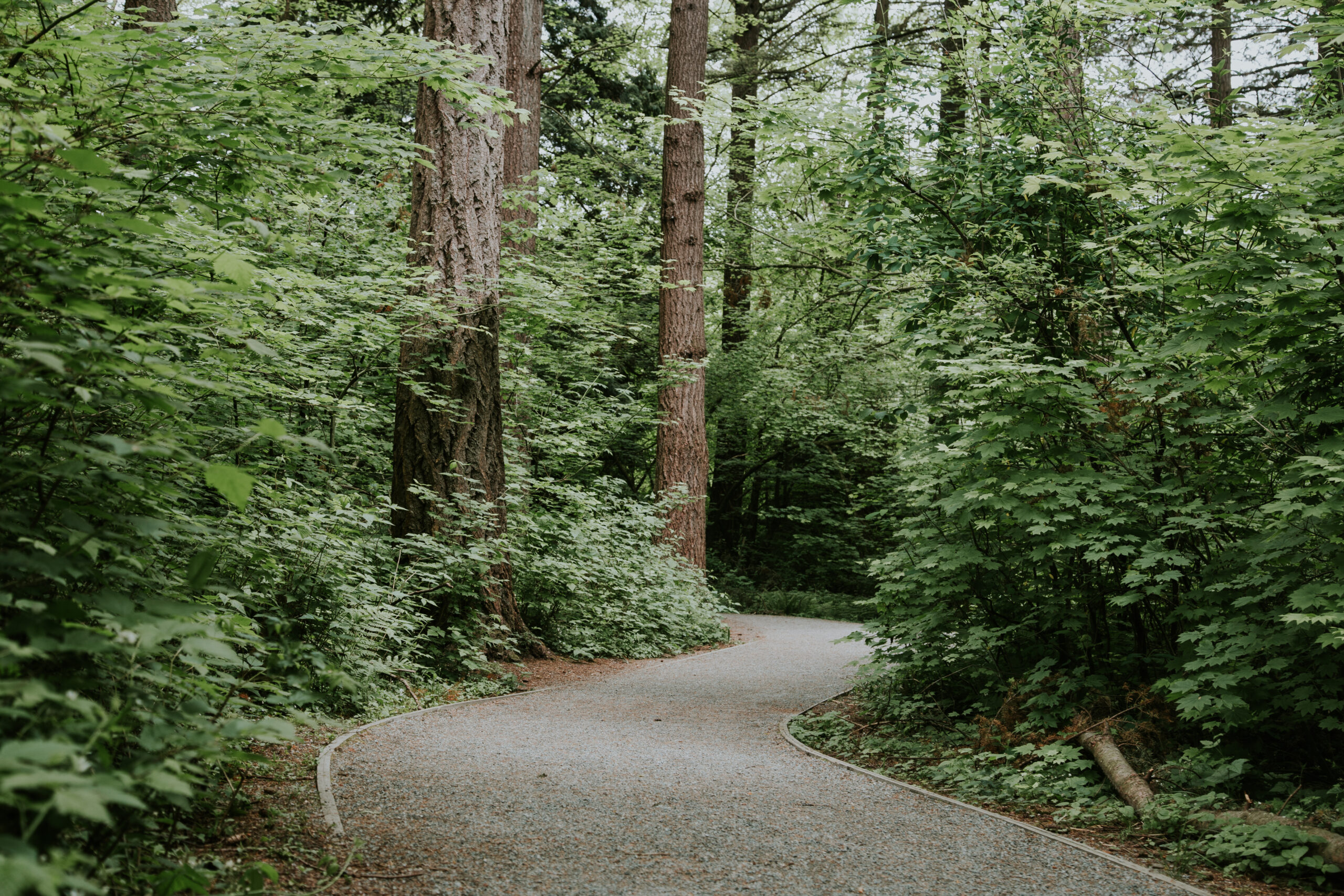 Houston Trail - Tourism Langley